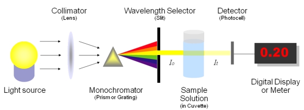 Spectrophotometry